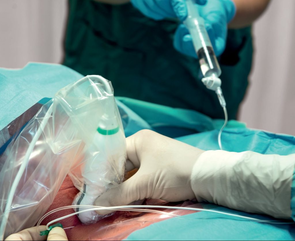 Medxpress.pro – Advanced disposable medical products, focusing on ...